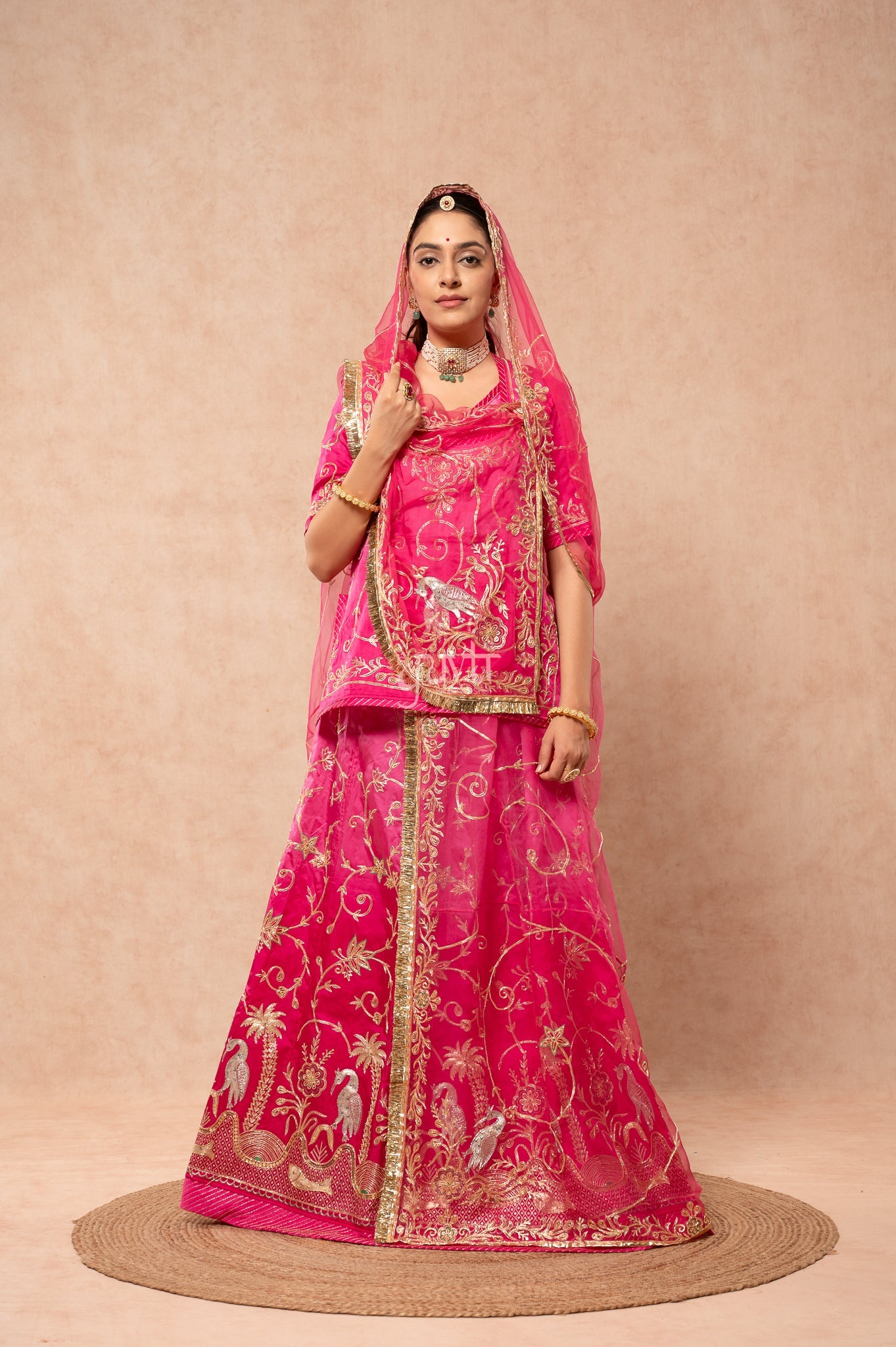 Rani Bamber Satin Aari Sequins Zardozi Handwork Poshak with Pure Odhan